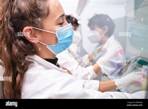 Two Young Female Scientists Wearing Face Masks During An Experiment In A Laminar Flow Hood