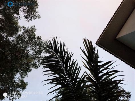 Infinix Smart Plus Review