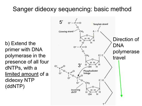 Dna Sequencing History Methods And Ngs Ppt