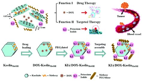 Schematic Representation Of The Synthesis Procedure Of The Download Scientific Diagram