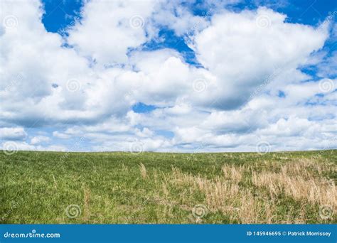 Grass Field And Cloudy Sky Stock Image Image Of Cloudscape 145946695