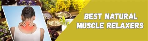 The Ultimate Guide To Natural Muscle Relaxers