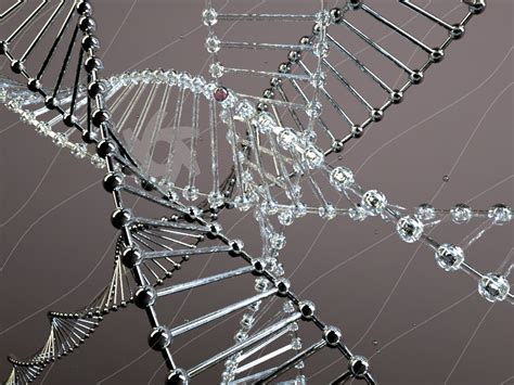 Atom Arrays On Behance