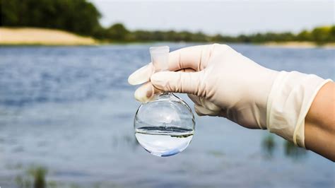 Ecological Buffer Zone Definition And Examples Biology Online Dictionary