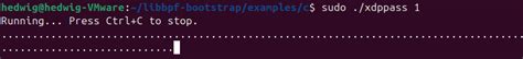 Ebpf例程——xdp