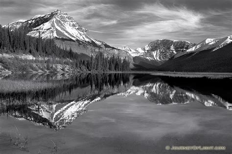 Black And White Scenic