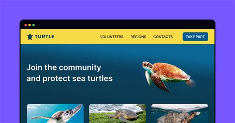 Header Design Examples Best Practices Uxcel