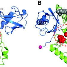 Information Driven Docking With Haddock Revealed That The Topology Of
