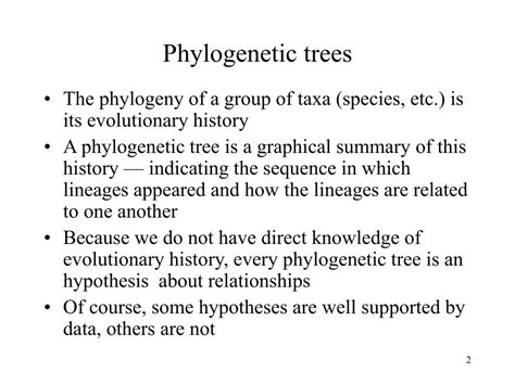 Ppt Phylogeny Reconstructing Evolutionary Trees Powerpoint Presentation Id162733