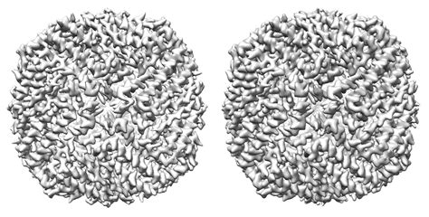 Denoising Protein Images With Deep Learning Scholar