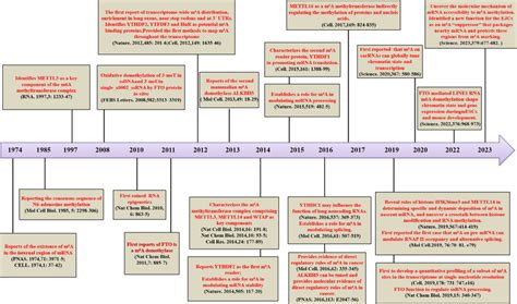 Timeline Diagram Depicting Essential Discoveries In The Field Of M⁶a Download Scientific