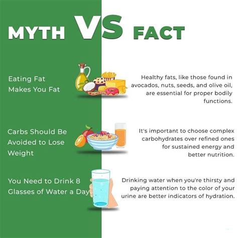 Cracking The Code Debunking Food Myths With Delicious Facts 🍏🤓 Food