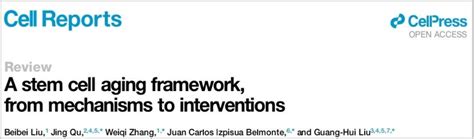 【学术前沿】cell Reports I 刘光慧张维绮曲静应邀撰写干细胞衰老的框架综述澎湃号·政务澎湃新闻 The Paper