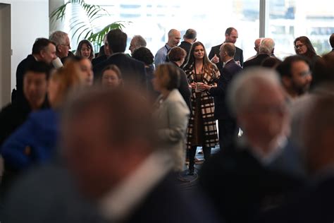 Project Leadership Capability Framework Leadership And Learning Te Waihanga