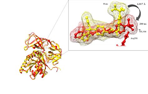Do Molecular Docking And Protein Structure Prediction By Iqraazi Fiverr