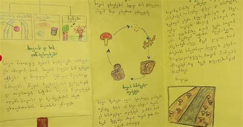 ბიოლოგიის მასწავლებლის ბლოგი 2022 2023 წელს განხორციელებული