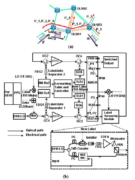 a a schematic of the emulated network and b an experimental setup