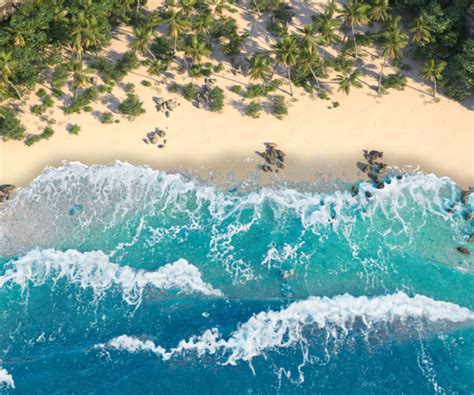 Artstation Houdini Hip File Nuke File The Crystal Beach Resources