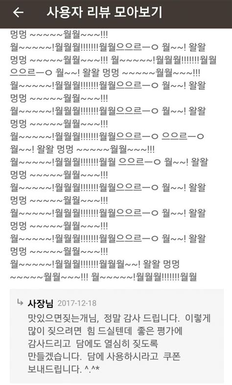 맛있으면 짖는 개 인스티즈 instiz 이슈 카테고리