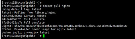 Docker部署vue程序docker Vue Csdn博客