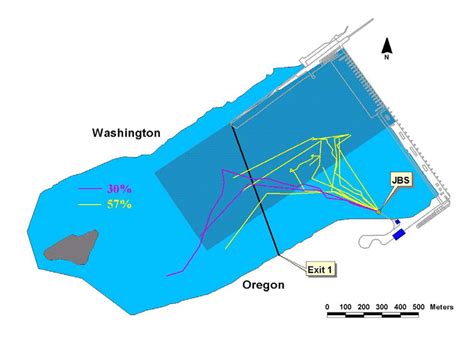 Travel Routes Of Wild Juvenile Steelhead Released Through The Juvenile