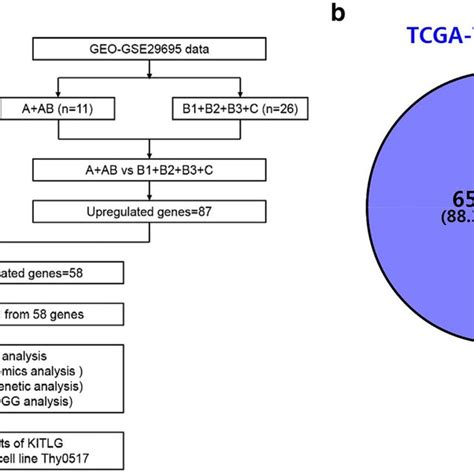 Differentially Expressed Genes Analyses Using Publicly Available Download Scientific Diagram