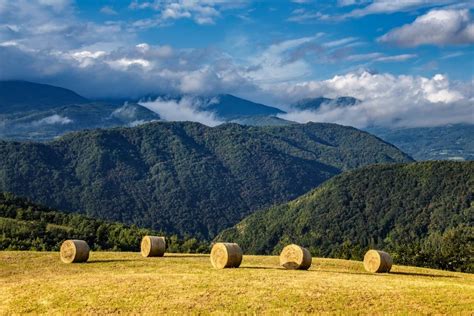 Parco Nazionale Dellappennino Tosco Emiliano