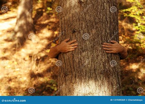 Man Hugging Tree In Forest Stock Image Image Of Floral