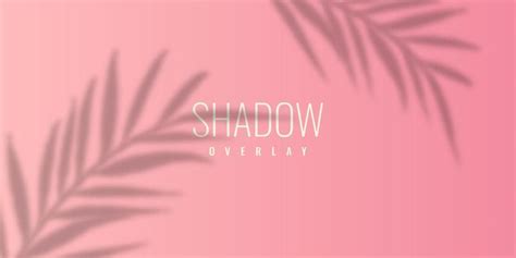 Shadow Background Vector Art Icons And Graphics For Free Download