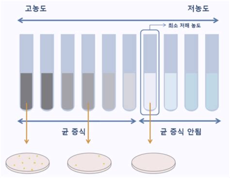 항균력시험 미생물분석 테스트한국의과학연구원 미생물분석센터 네이버 블로그