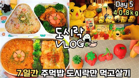 7일간 일본가정집and식비절약 주먹밥 도시락 만들기 5일차 🍱│냐미도시락│도시락vlog직장인도시락 Youtube