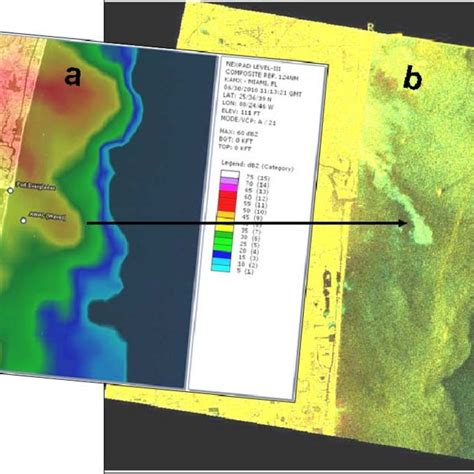 Pertinent Information To Field Experiment Examples Download Table