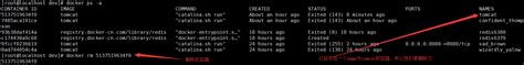 在linux系统上用docker部署JavaWeb项目 万里哥 博客园