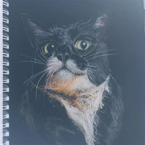 Experimented With Drawing Inverted And This Is How It Turned Out