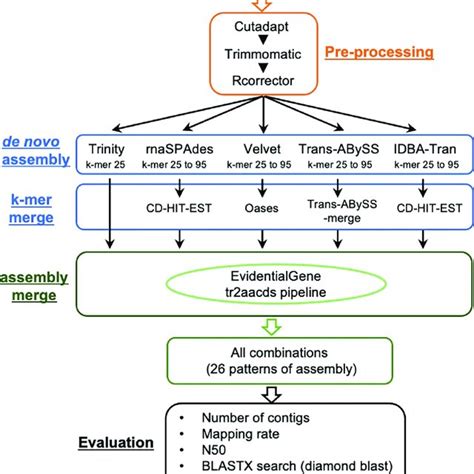Flowchart Of Assembly Construction Used In Study Download