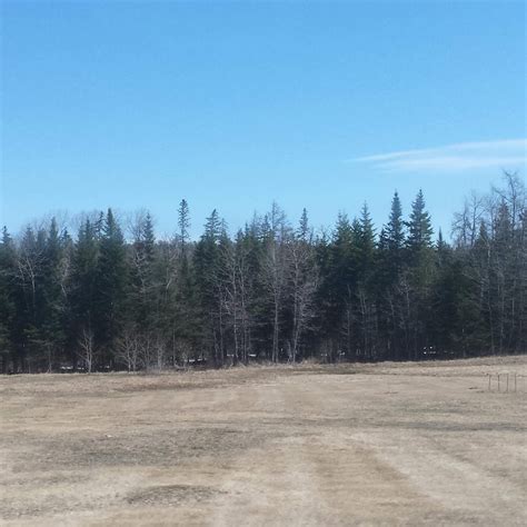 Tabitha Saucier Youtube