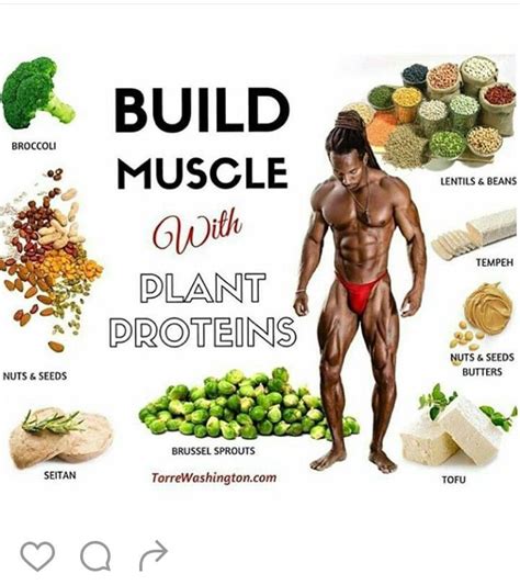 Pin By Happy User On Health Bodybuilding Diet Bodybuilding Nutrition Build Muscle