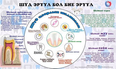 Шүд эрүүл бол бие эрүүл News Mn