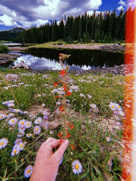 Guidance On The Grand Mesa Groundwork