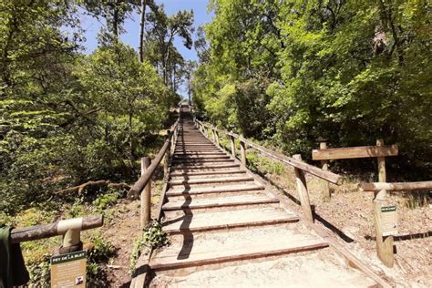 Lobservatoire Du Pey De La Blet à La Barre De Monts Sera Encore Plus Haut