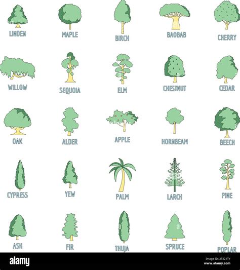 Tree Types Icons Set Outline Illustration Of 25 Tree Types Vector