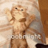 Go To Bed Meme S Tenor