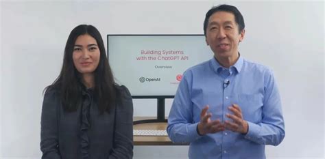 【中文pdf】吴恩达与openai联合推出的大语言模型入门课程 Csdn博客