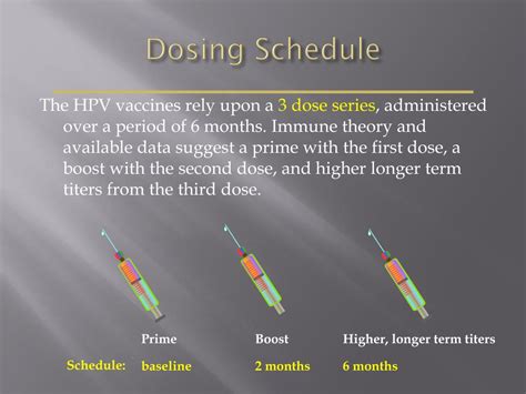 Ppt Human Papilloma Virus Hpv Vaccine Powerpoint Presentation Free Download Id 2284905