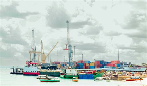 Capturing And Deploying Pytorch Models With Torchexport Towards Data