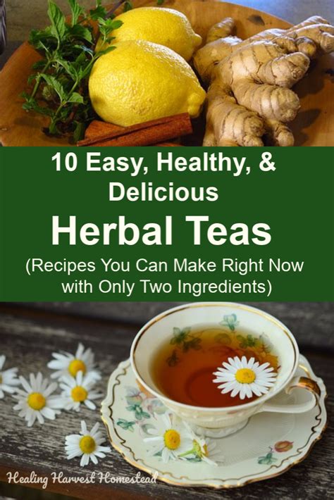 10 Best Easy Herbal Teas To Make For All The Reasons To Relax For Energy To Detox To Sleep