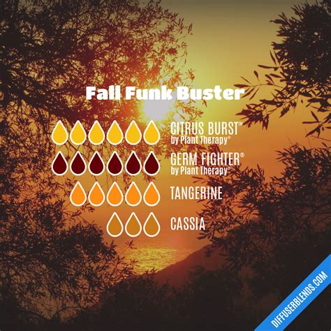 Fall Funk Buster DiffuserBlends