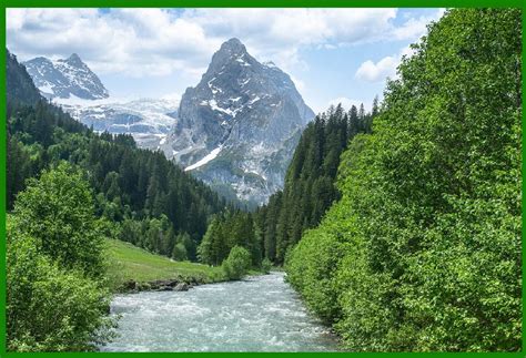 Barcode Label Design Software Labelforge