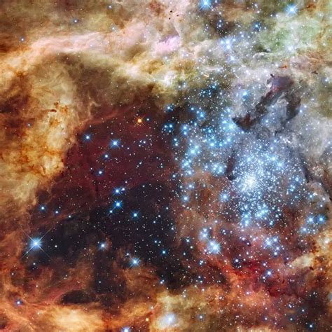 R136a1 Star Type Mass Life Cycle Location Star Facts