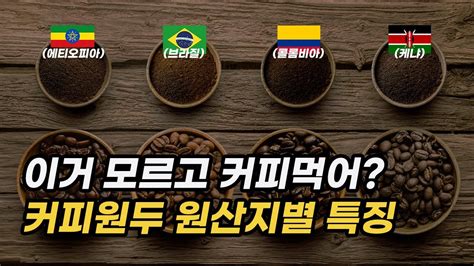 이거 모르고 커피 먹어 커피원두 원산지별 특징 Youtube
